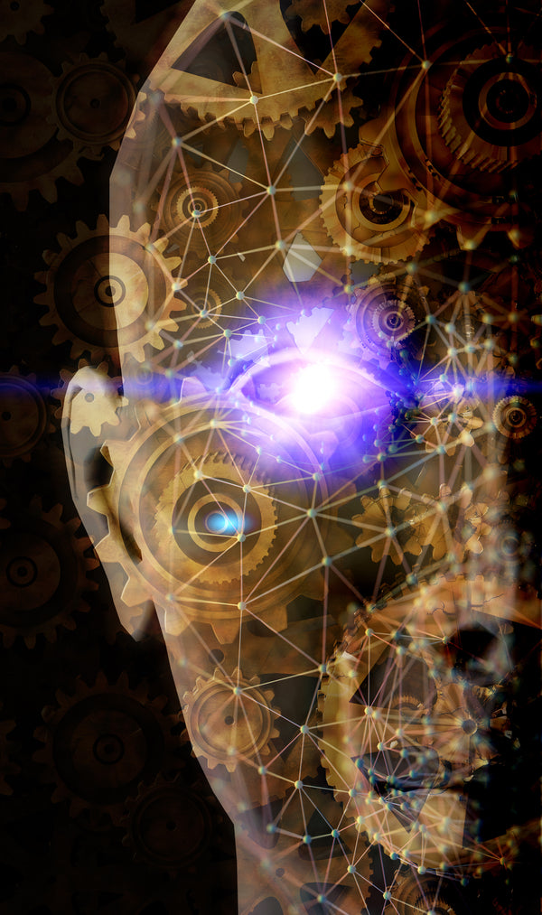 Synapse Industries | Auto electrical sales and service